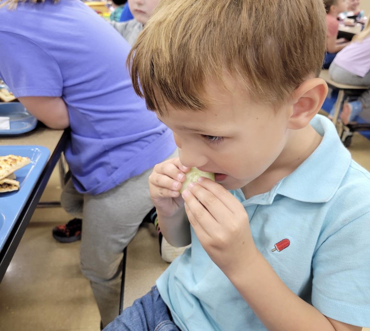 School Lunch – Autism & Go